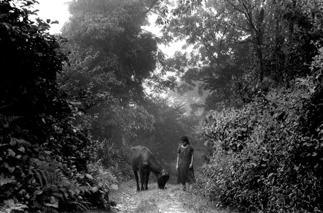 [PHOTO] A photo exhibition featuring black-and-white photographs by ...
