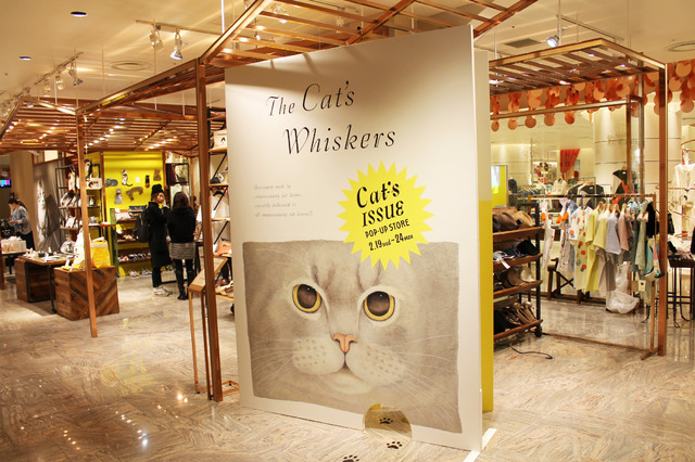 Shinjuku Isetan is filled with cats! Sunday Issue opens exclusive cat ...