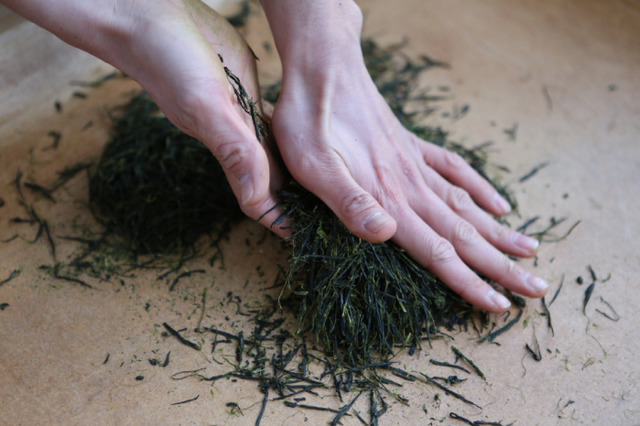 "TOKYO CRAFT MARKET" opens in Aoyama! Explore plants, flowers, and tea ...