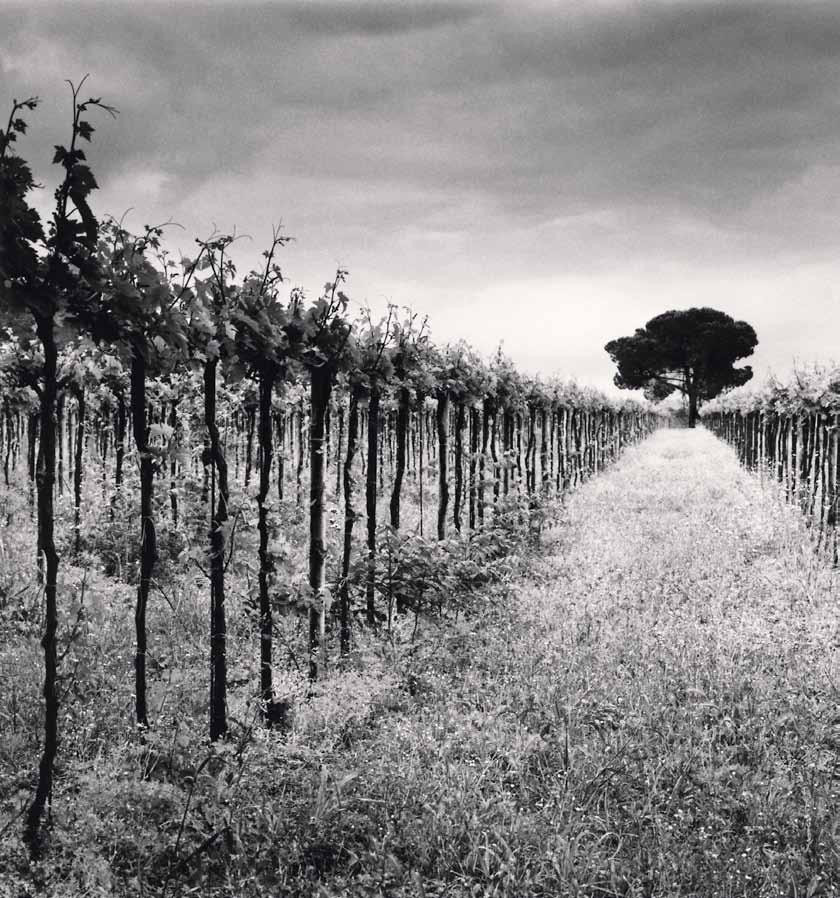 Photographer Michael Kenna's poetic portrayal of the coexistence of ...