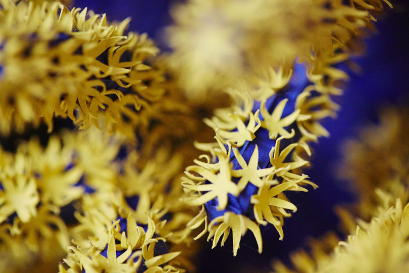A breathtakingly beautiful colored paper coral reef. Paper art ...